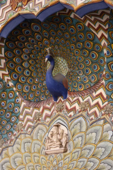 Feng Shui’de tavus kuşu sembolünün anlamı ve kullanımları | Evim Dergisi